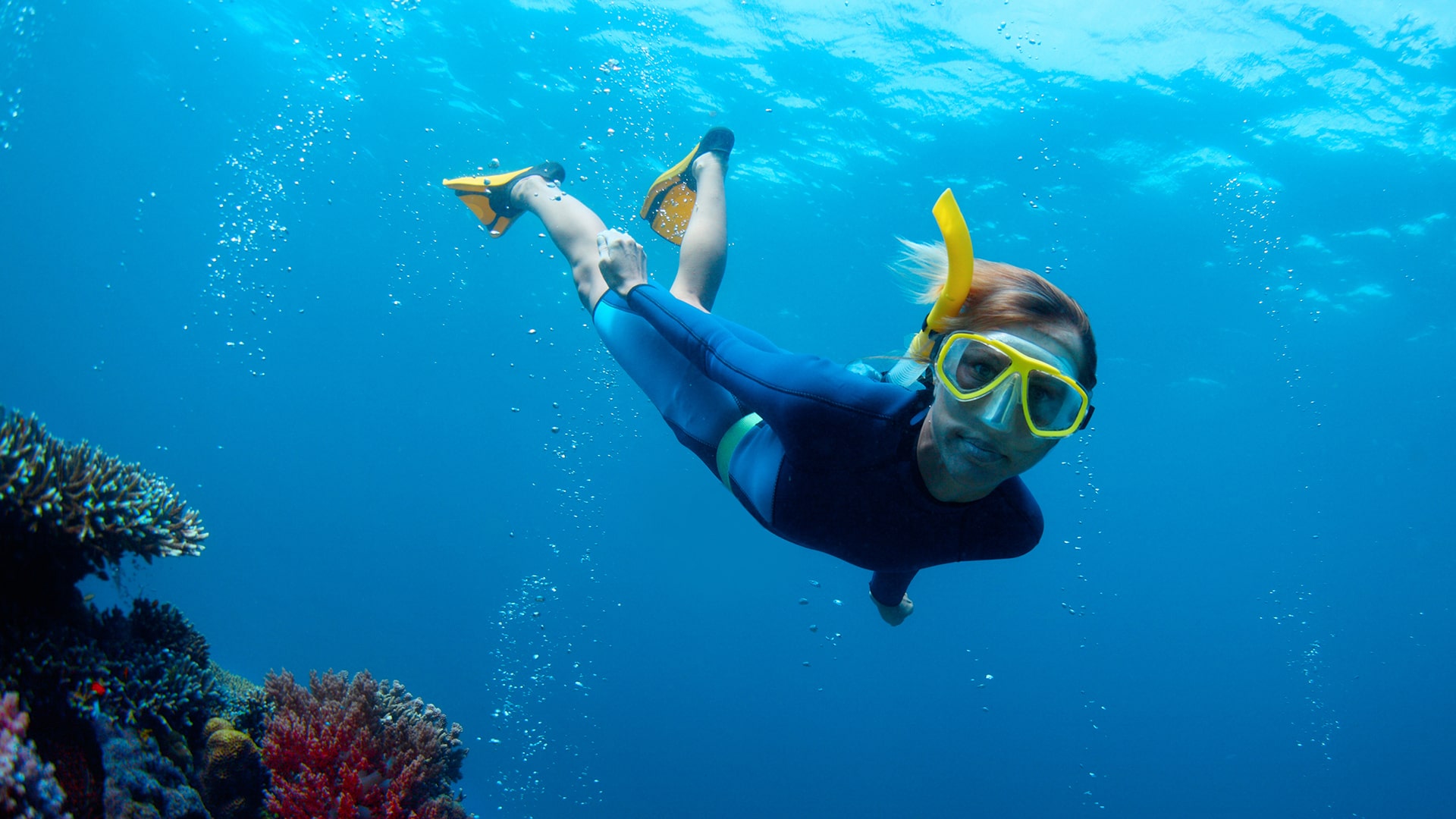 Venta de material de buceo y pesca submarina